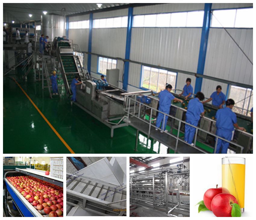 Apple, Pear Processing Line-Juice Production Line-Shanghai ChenFei ...